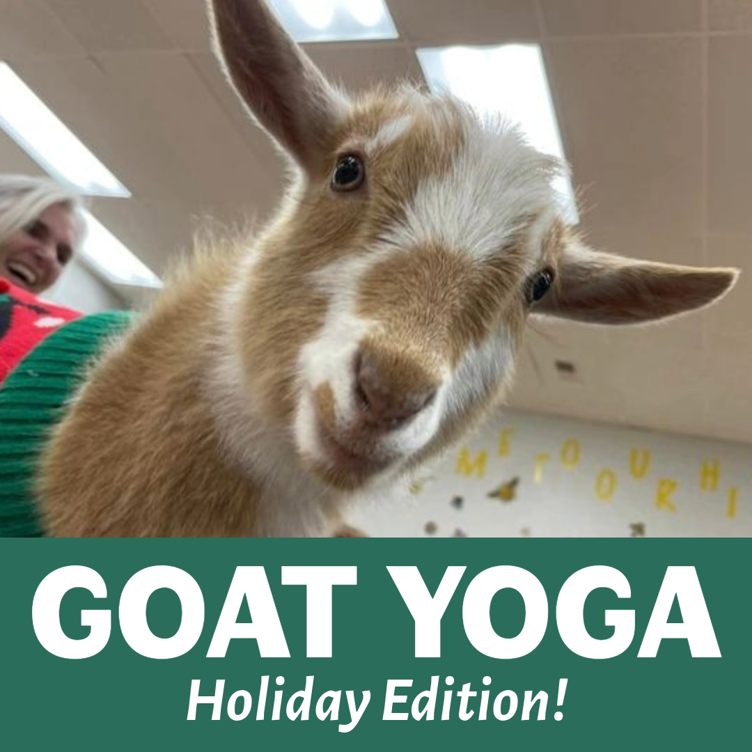 Summer 2024 Newsletter — Civic Garden Center of Greater Cincinnati