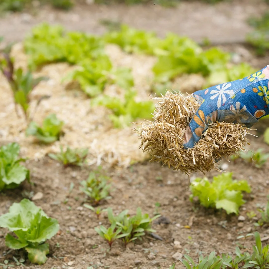 The Benefits of Mulching — Civic Garden Center of Greater Cincinnati