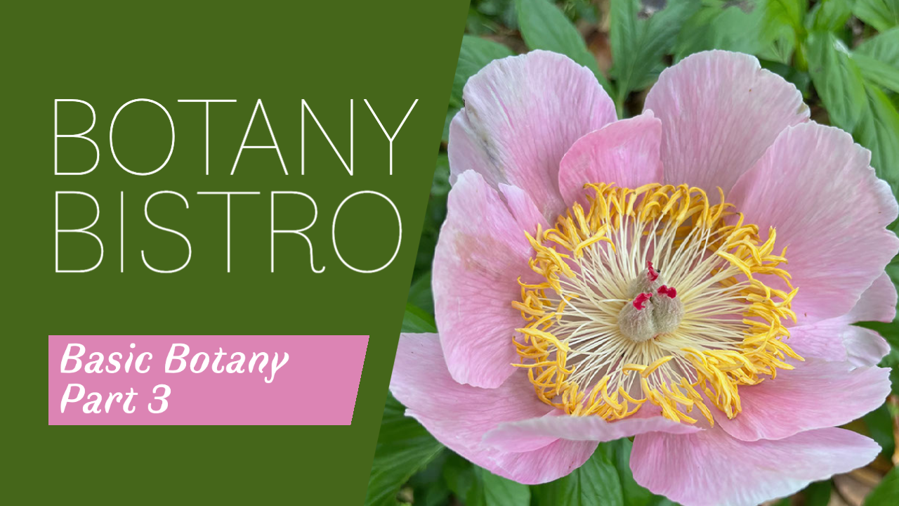 Botany Bistro Archive — Civic Garden Center of Greater Cincinnati