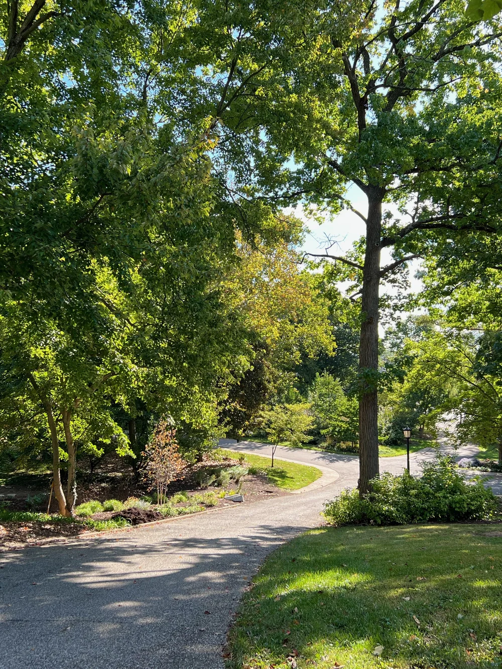 How the CGC Became My Second Home — Civic Garden Center of Greater ...