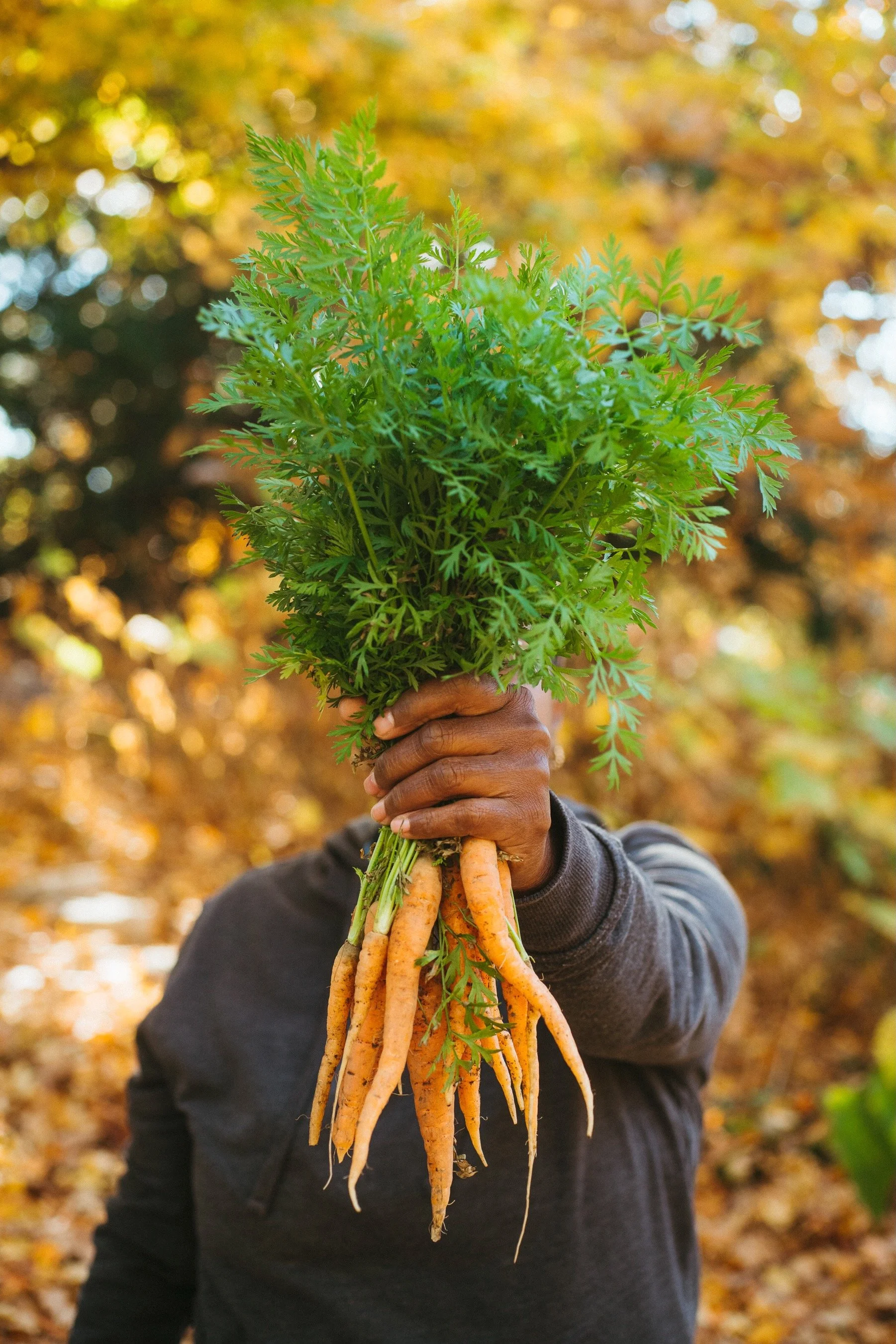 About — Civic Garden Center of Greater Cincinnati