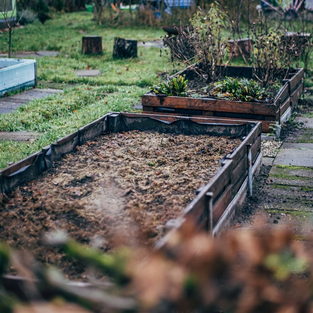 Putting Your Garden to Bed — Civic Garden Center of Greater Cincinnati