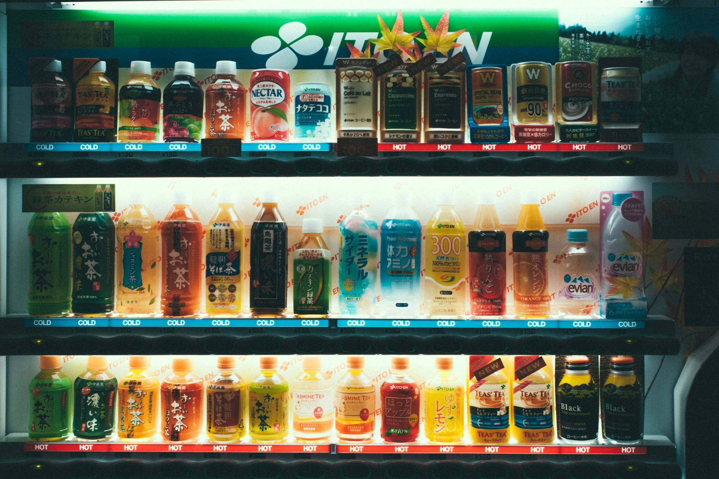 Japan Night — JAY FREDERICK