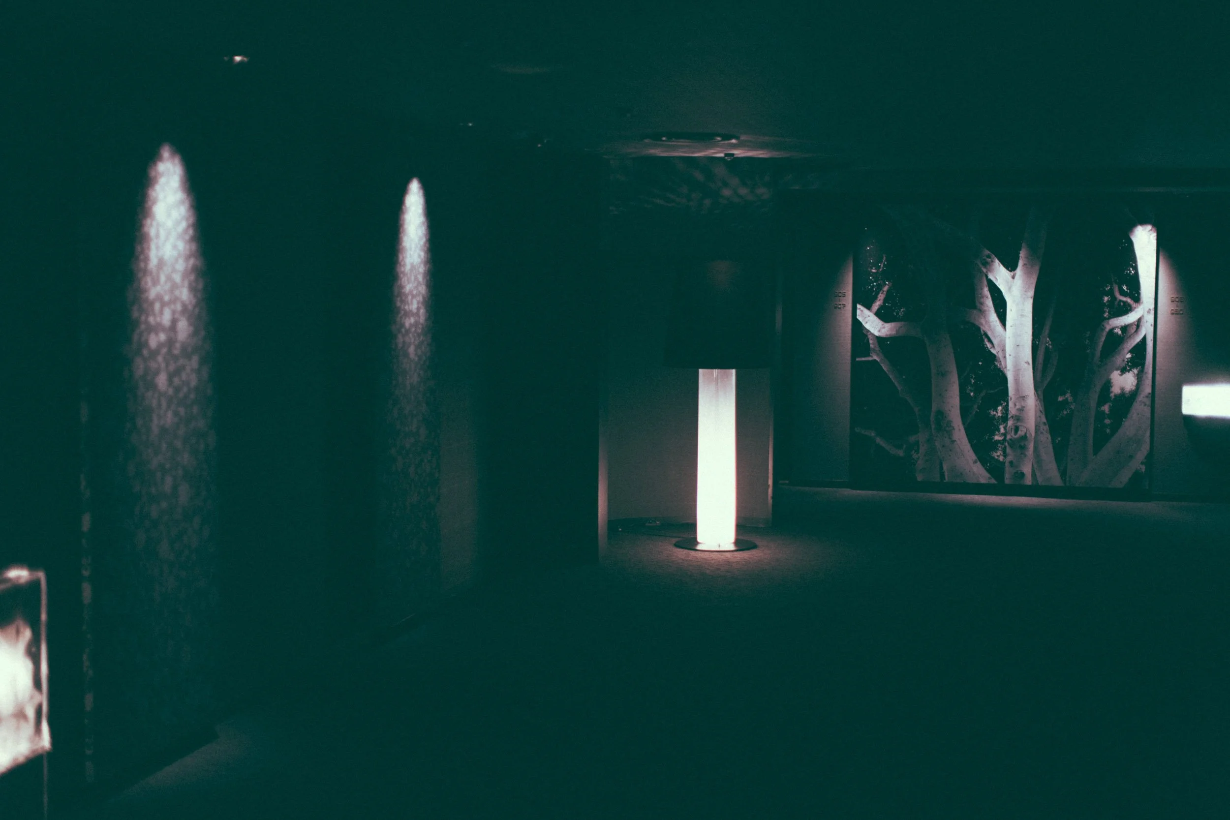 Japan Night — JAY FREDERICK