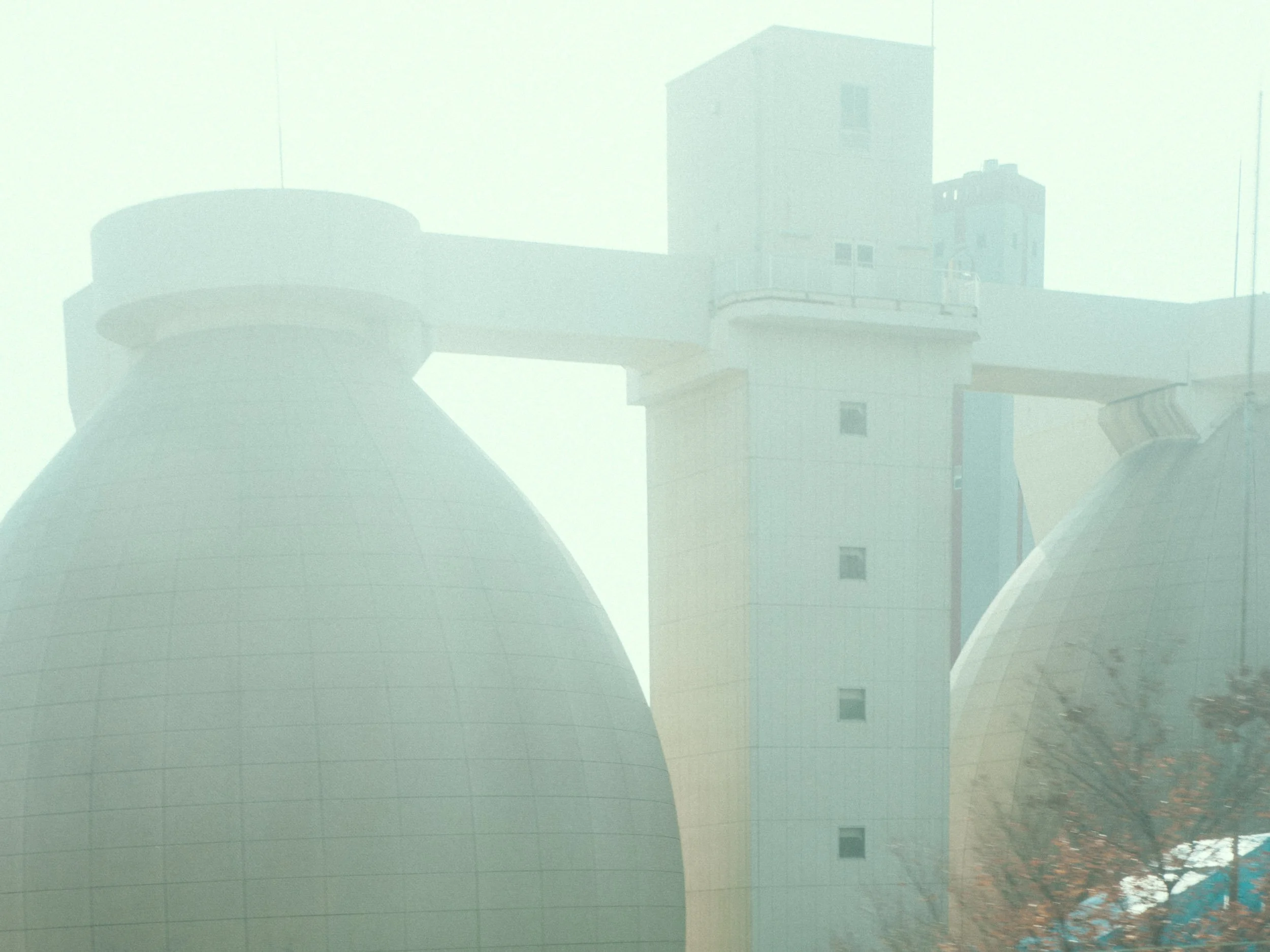 Japan Day — JAY FREDERICK