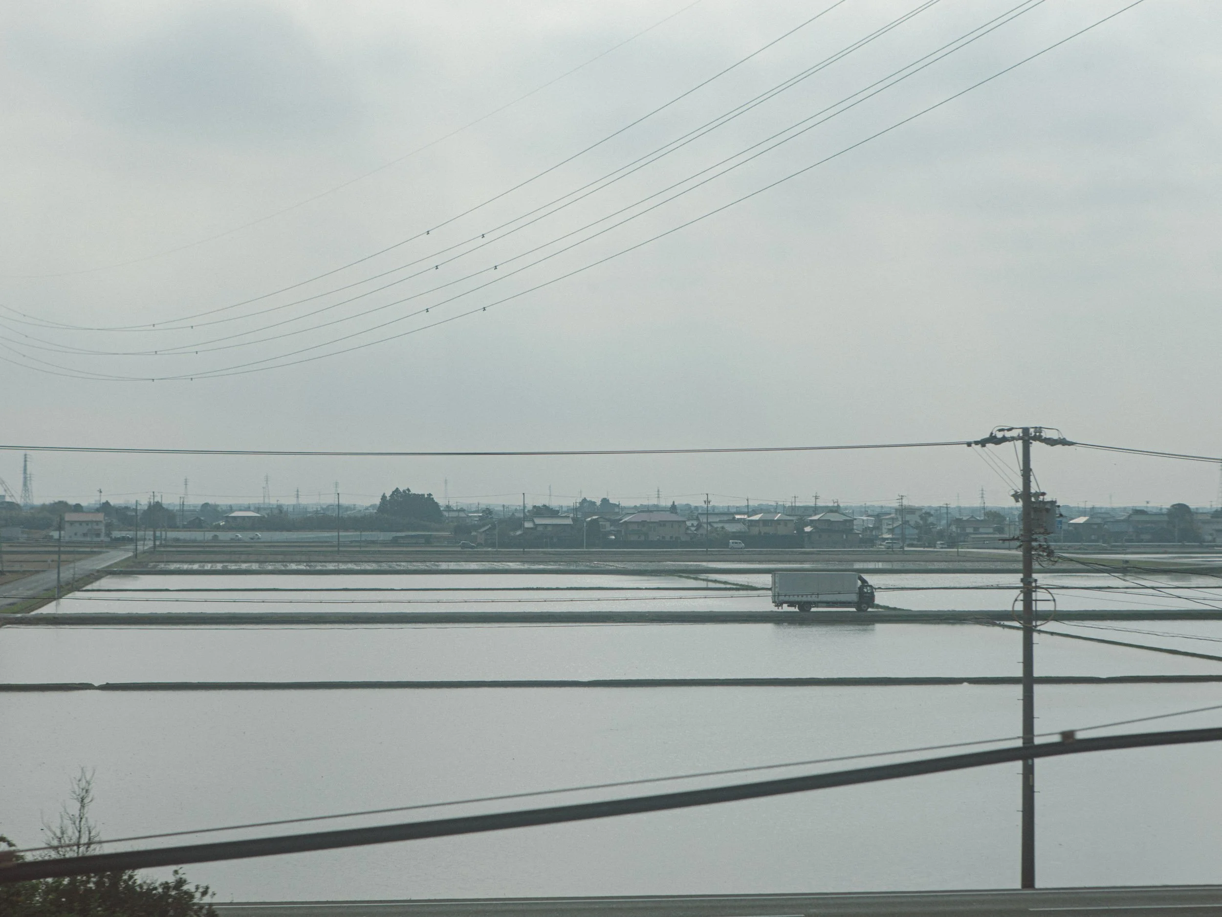 Japan Day — JAY FREDERICK