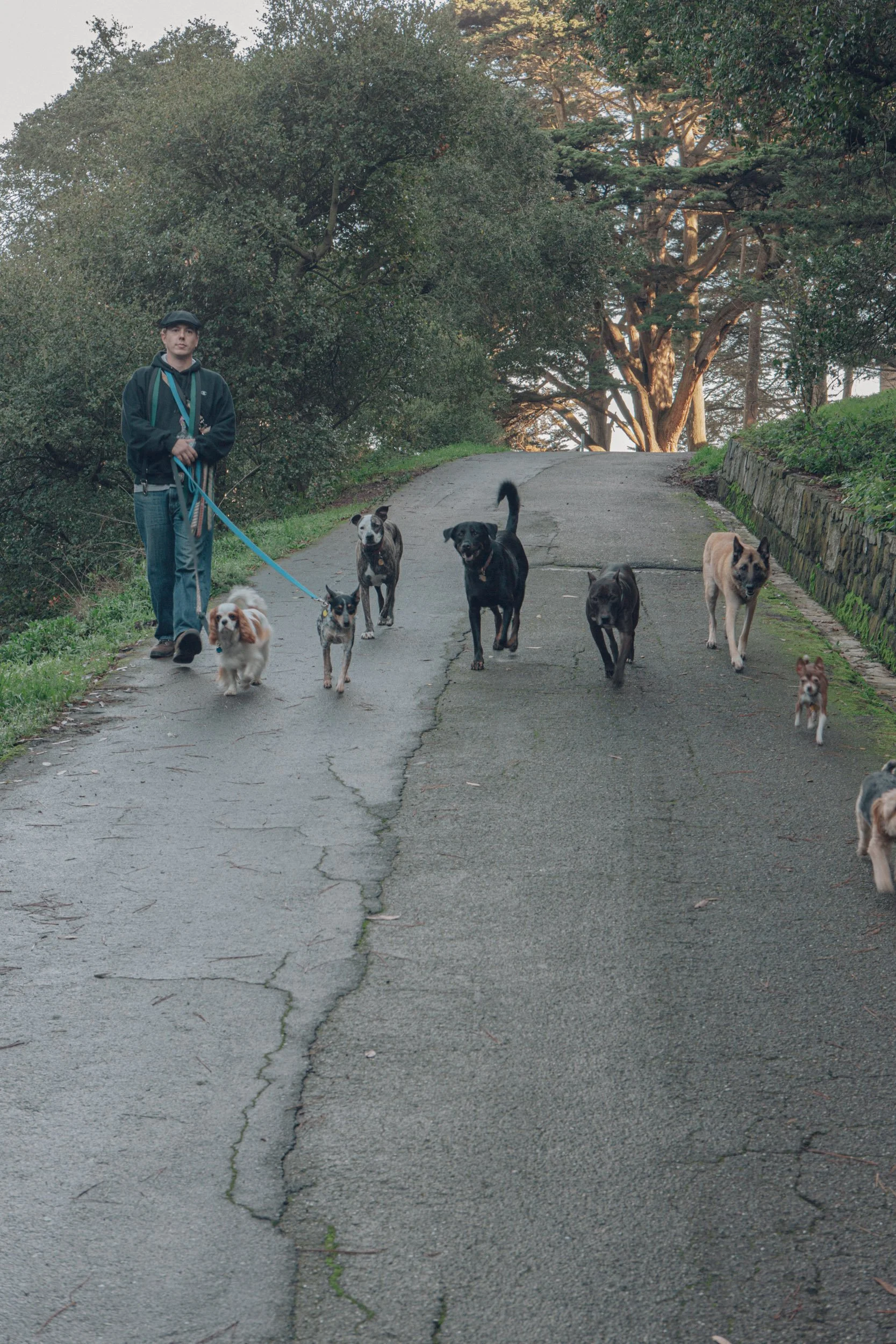 San Francisco — JAY FREDERICK