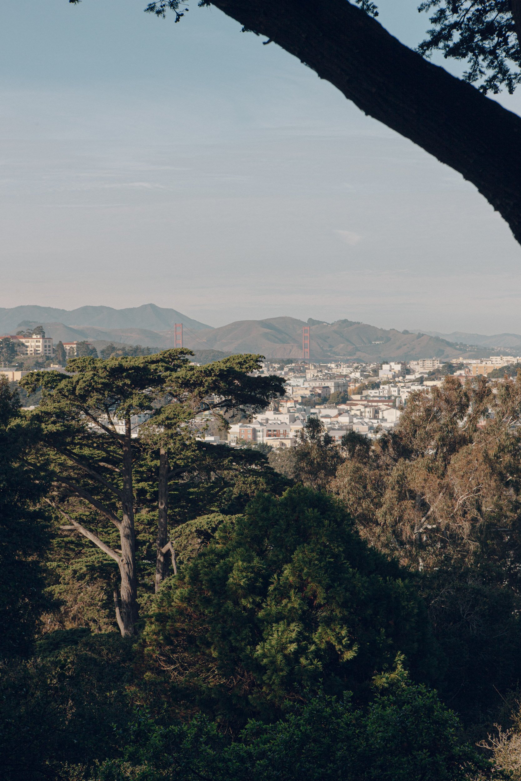 San Francisco — JAY FREDERICK