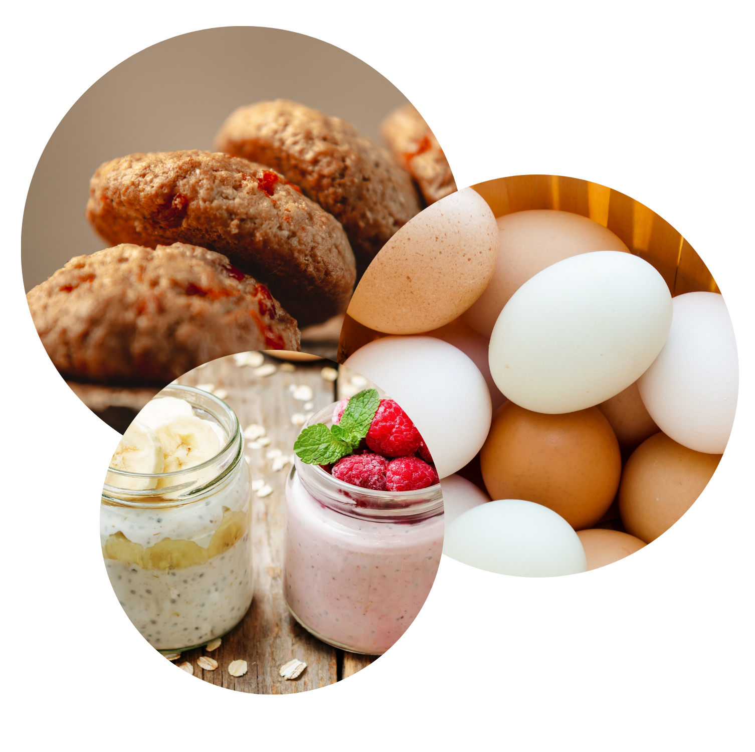 Farm — Honest Farms