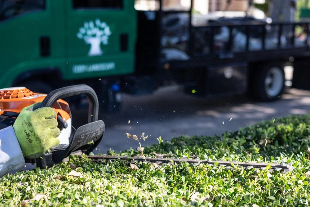 Landscaping Services Fort Worth, TX | Cody Landscape