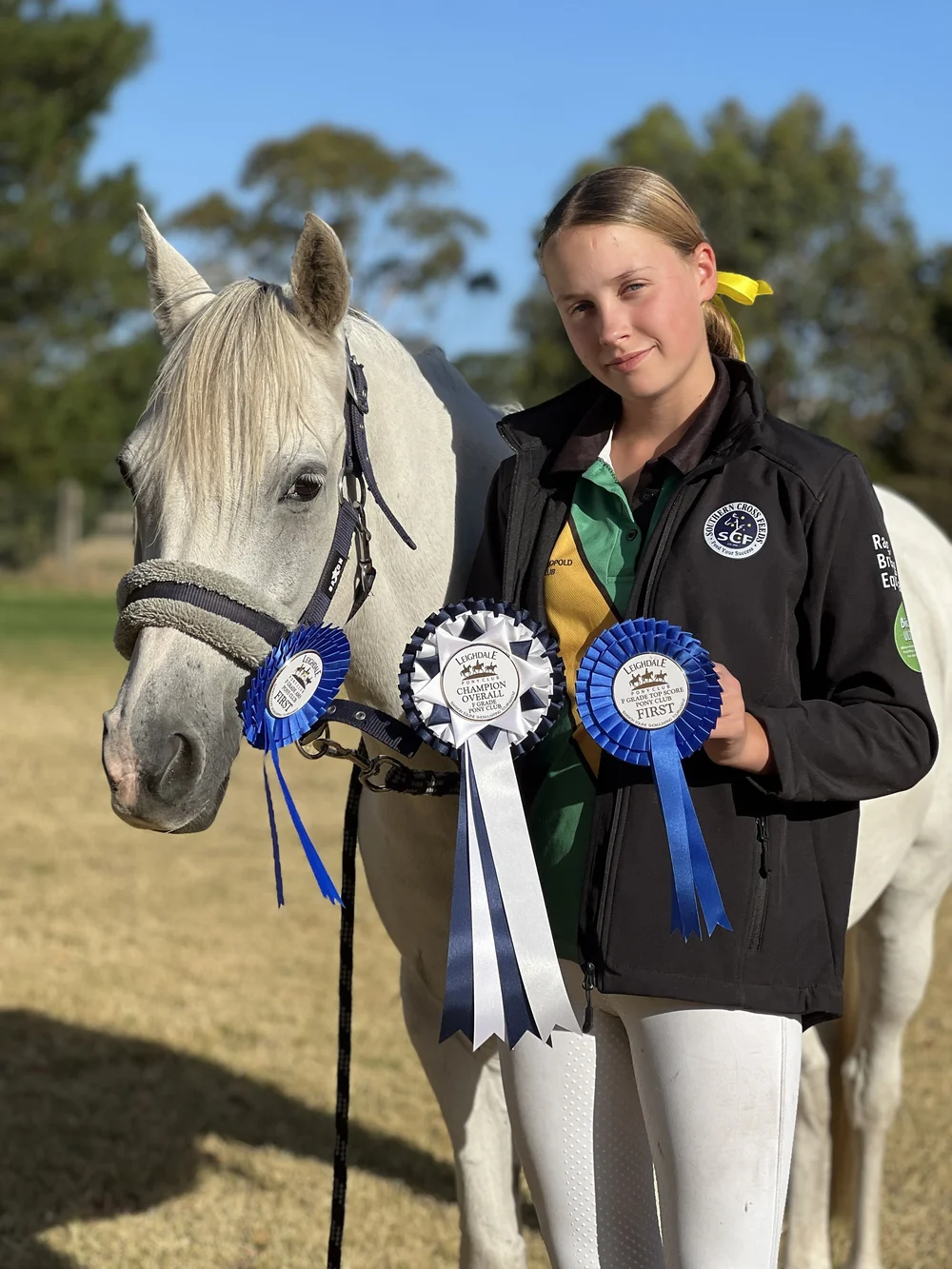 Equestrian Feeds — Southern Cross Feeds