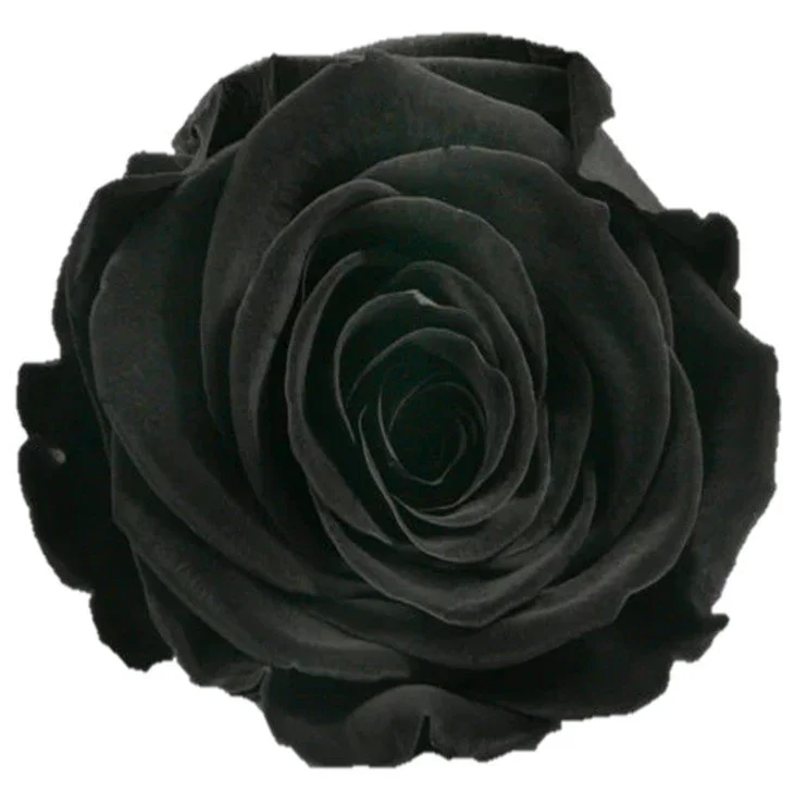 Las Vegas Flower Market