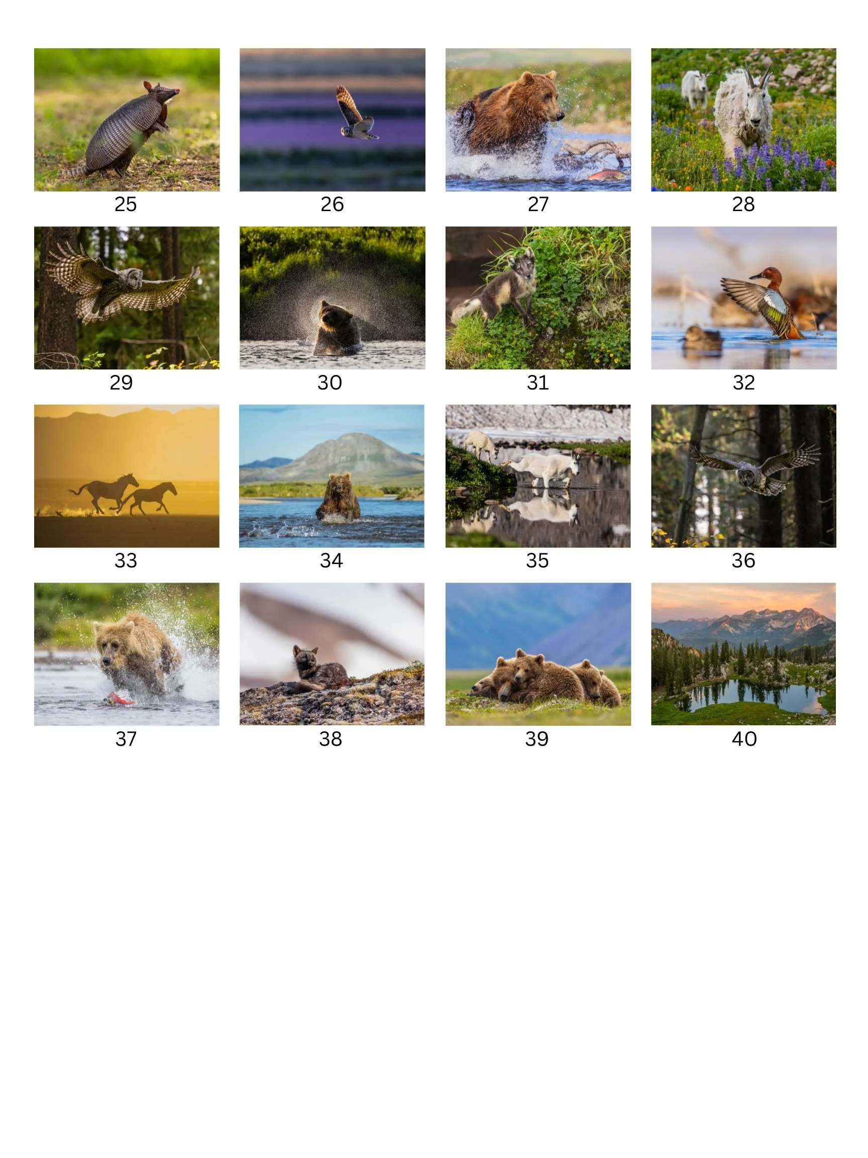 2026 Custom Wildlife Calendar — Jimmy Breitenstein - Wildlife and ...