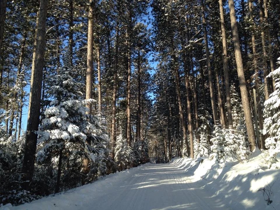 Camp Vermilion — Voyageurs Lutheran Ministry