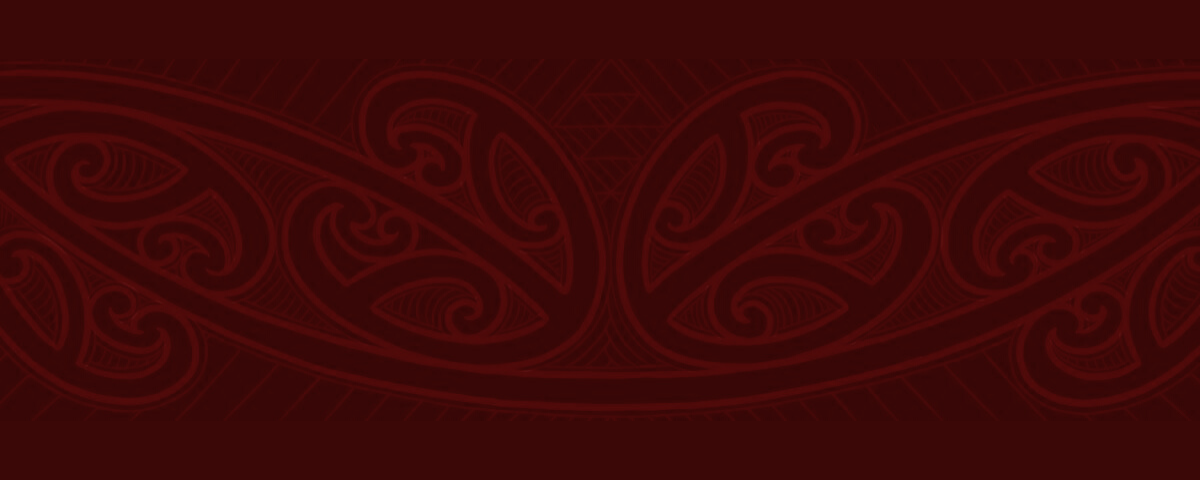 Te Kupeka Umaka Maori ki Araiteuru