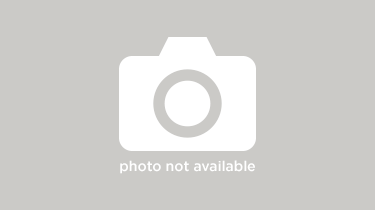 Johan Mathew — Humanities Research Fellowship for the Study of the Arab ...