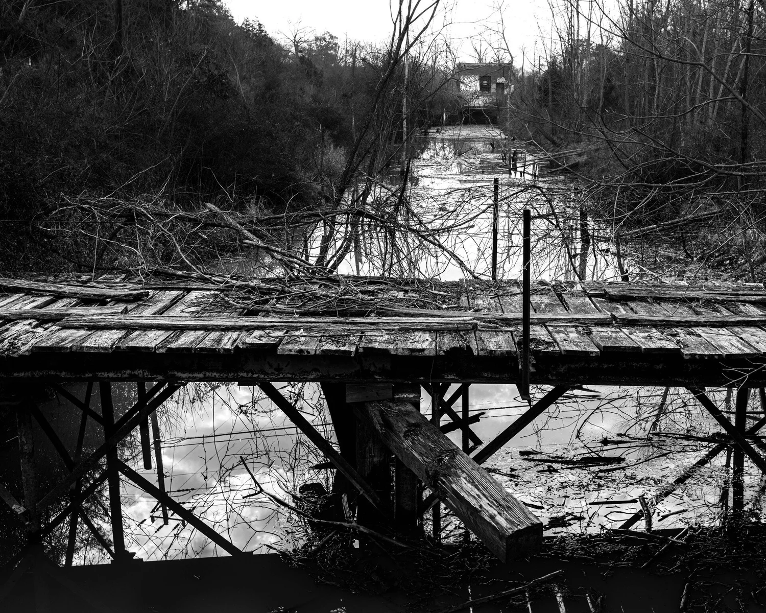 Cary Photographic Artists