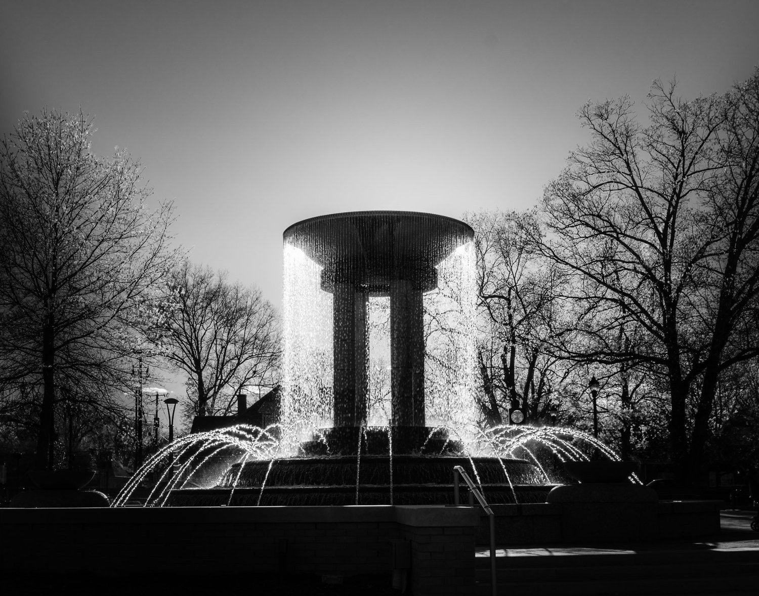 Cary Photographic Artists