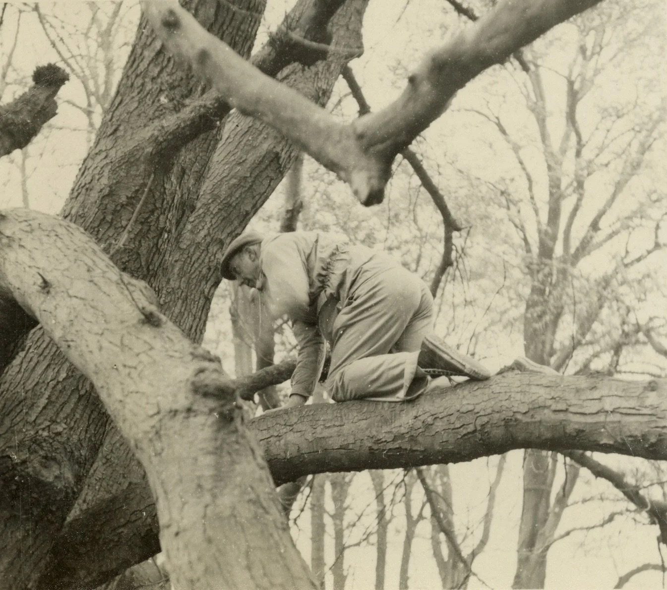 Photographs of Brady Boys Club at Skeet Hill House 1960s-1970s — Brady ...