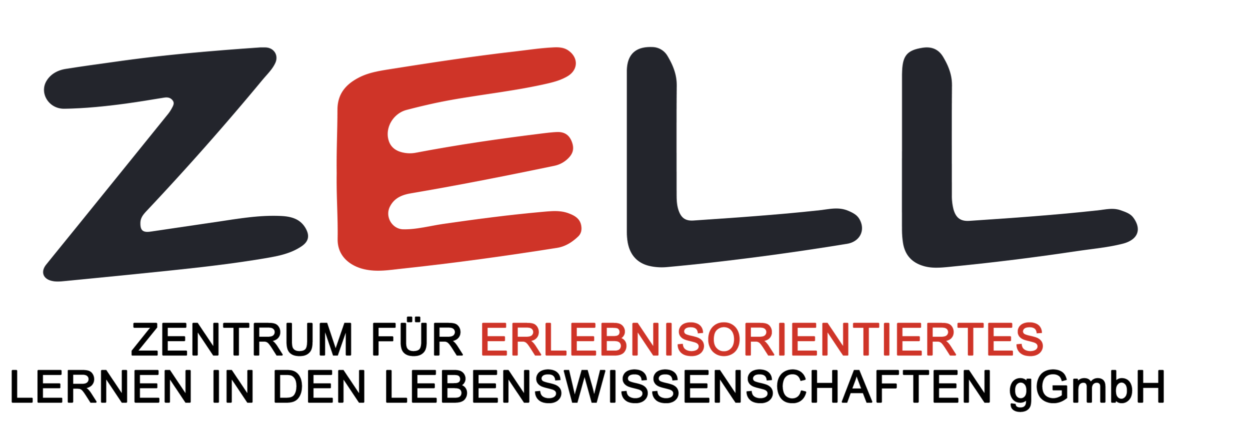 Forschergeburtstag — Forschergarten