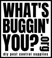 What's Buggin' You?