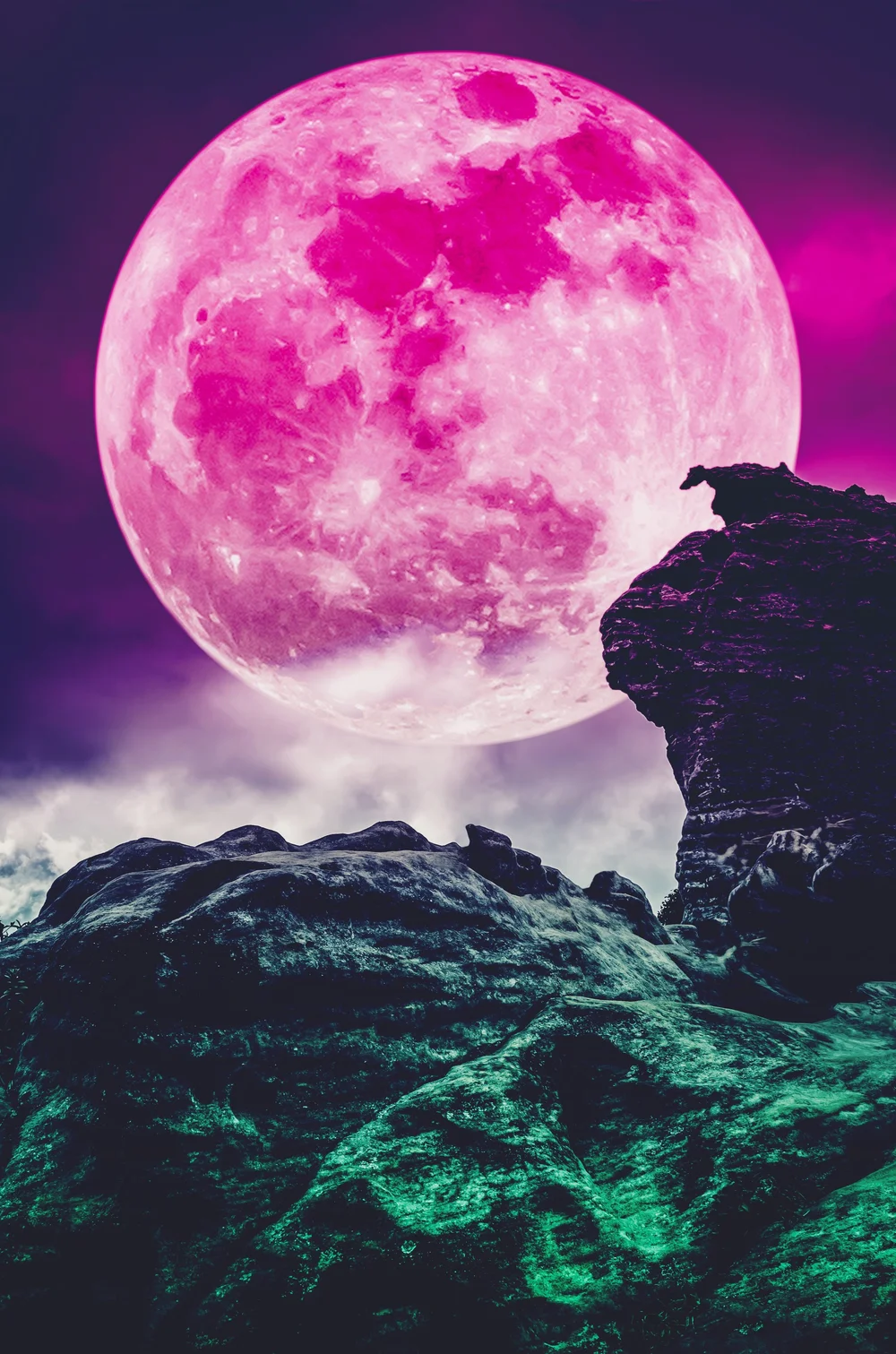 Lotus Moon
