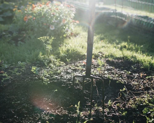 Autumn Garden Jobs — Gartur Stitch Farm