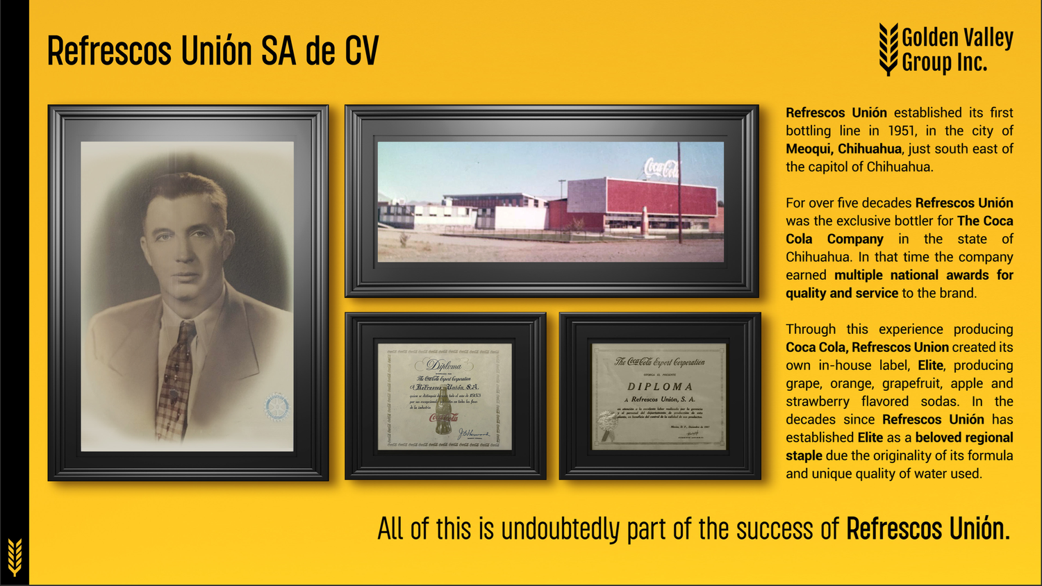 Golden Valley Group Inc.