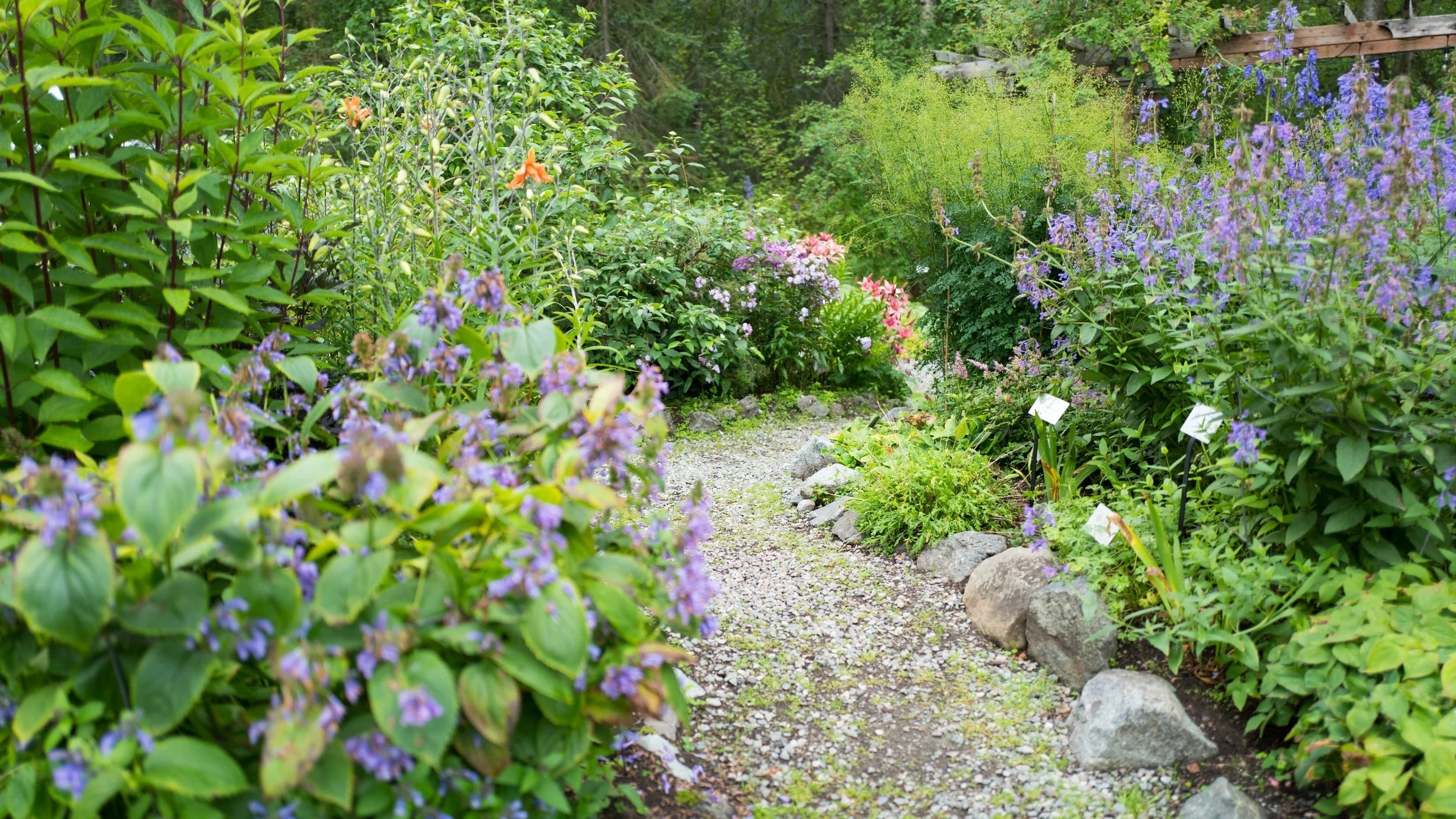 Gardens & Trails — Alaska Botanical Garden