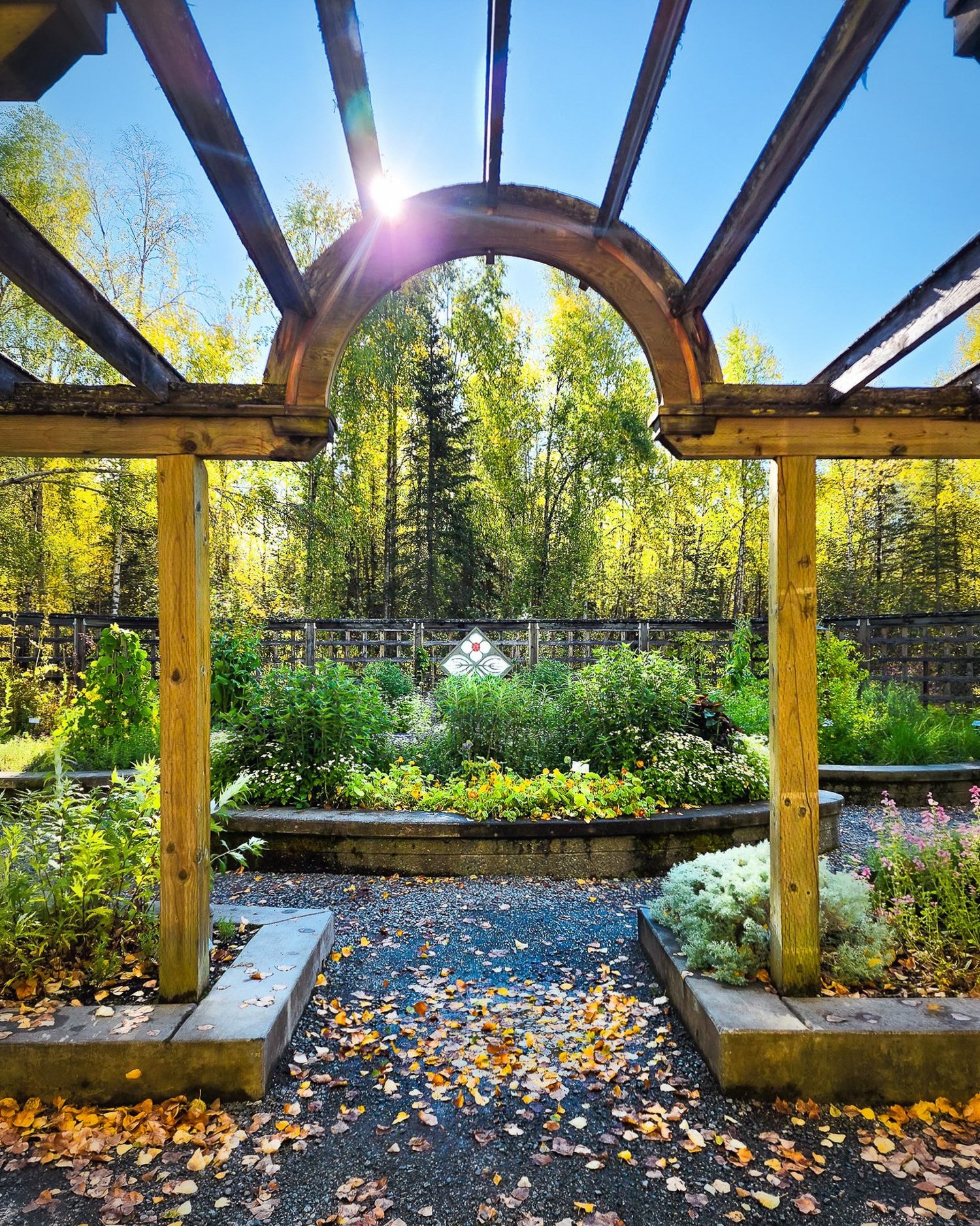 Alaska Botanical Garden
