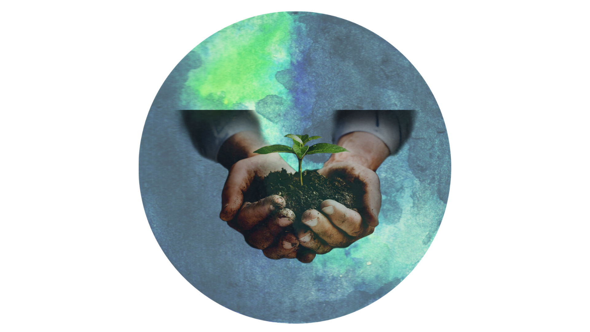 Courses — PROUT Institute