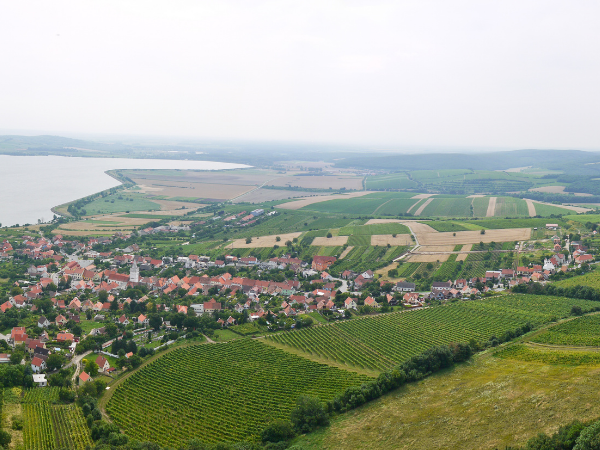 Projects — PROUT Institute