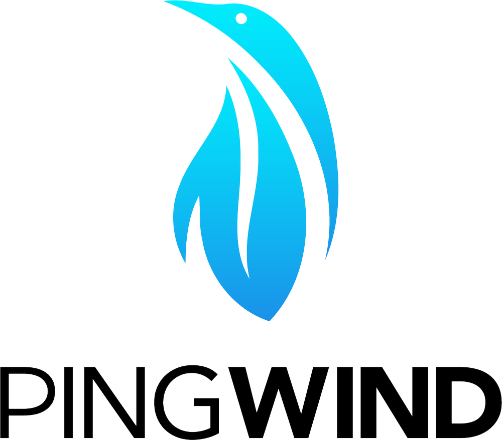 CVPS II: Elevating Insights and Enhancing Decision-Making — Pingwind