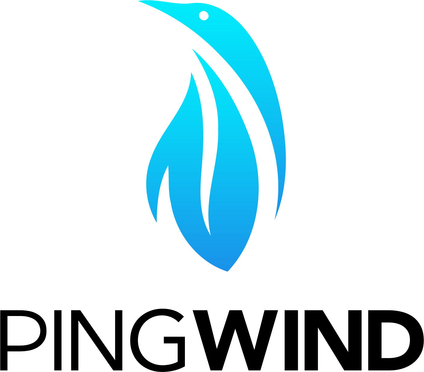 PingWind ISO Training Video — Pingwind