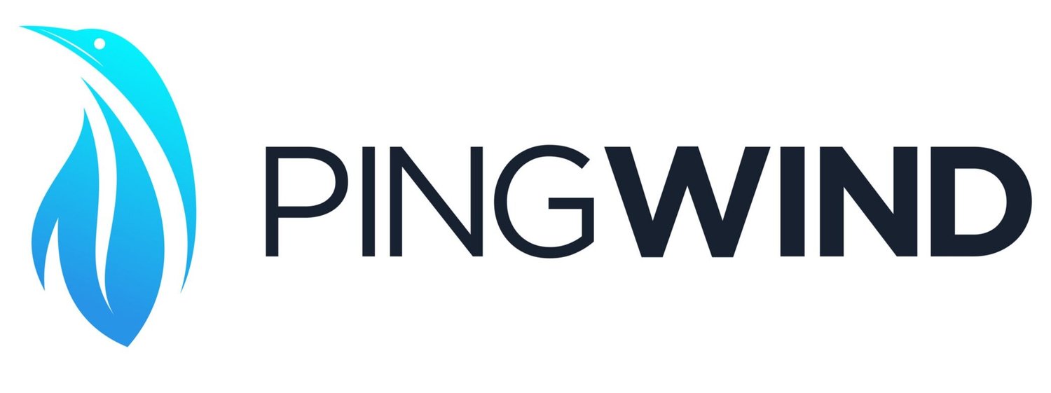 PingWind wins CEHRIS contract — Pingwind