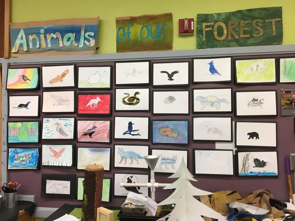 The Scottish Storyline Method