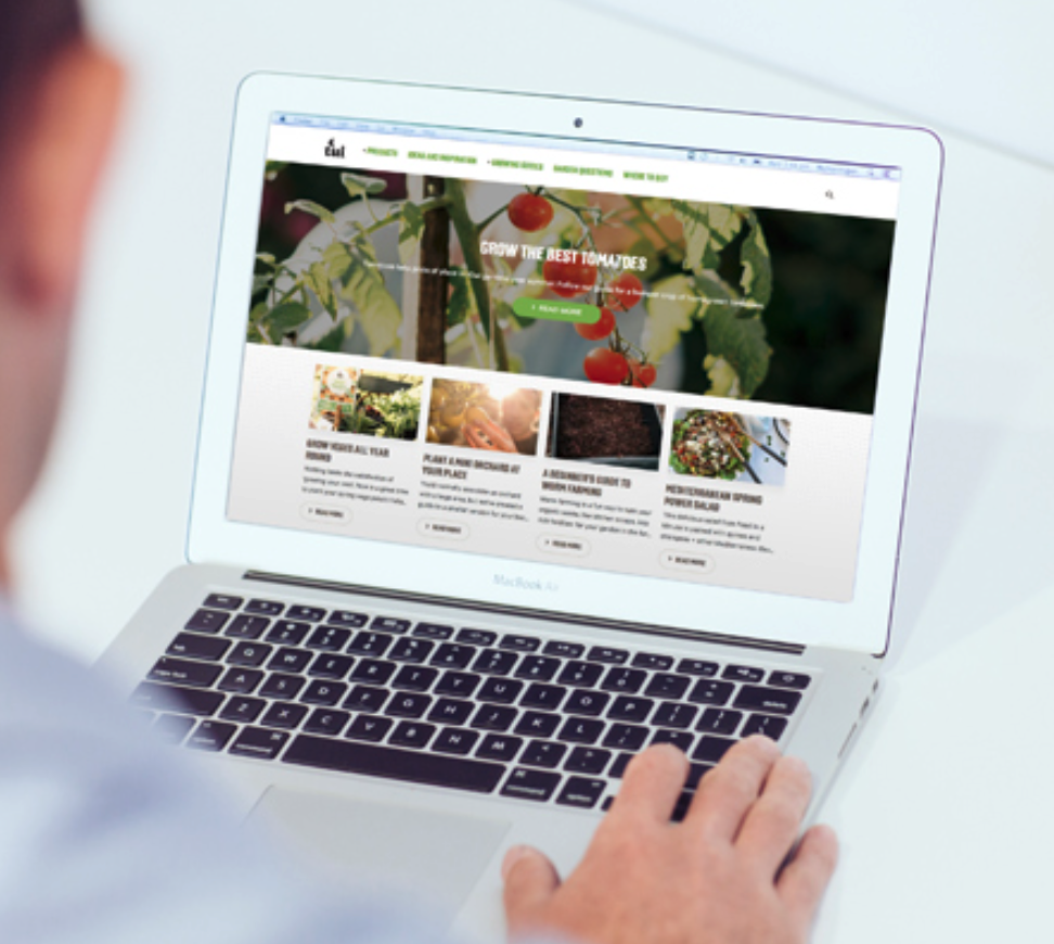 Cucumber | Software Development | Mobile | Custom | Website | Tauranga
