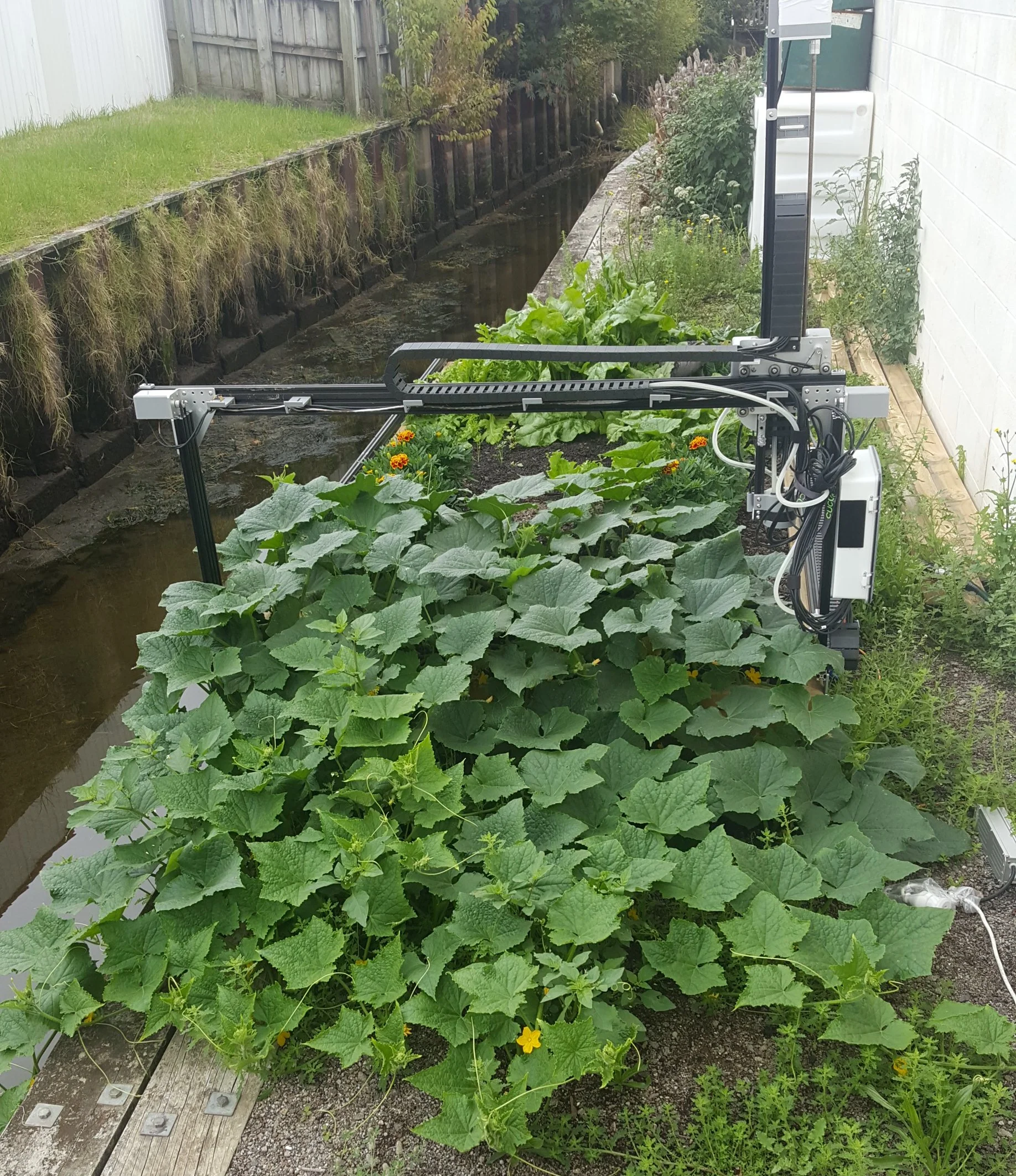 Latest news and blog | Cucumber — Cucumber