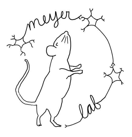 Recruitment — Meyer Lab