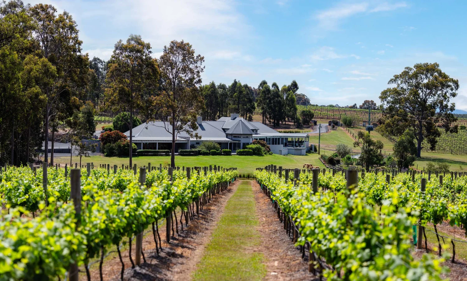 Wine — RidgeView Wines