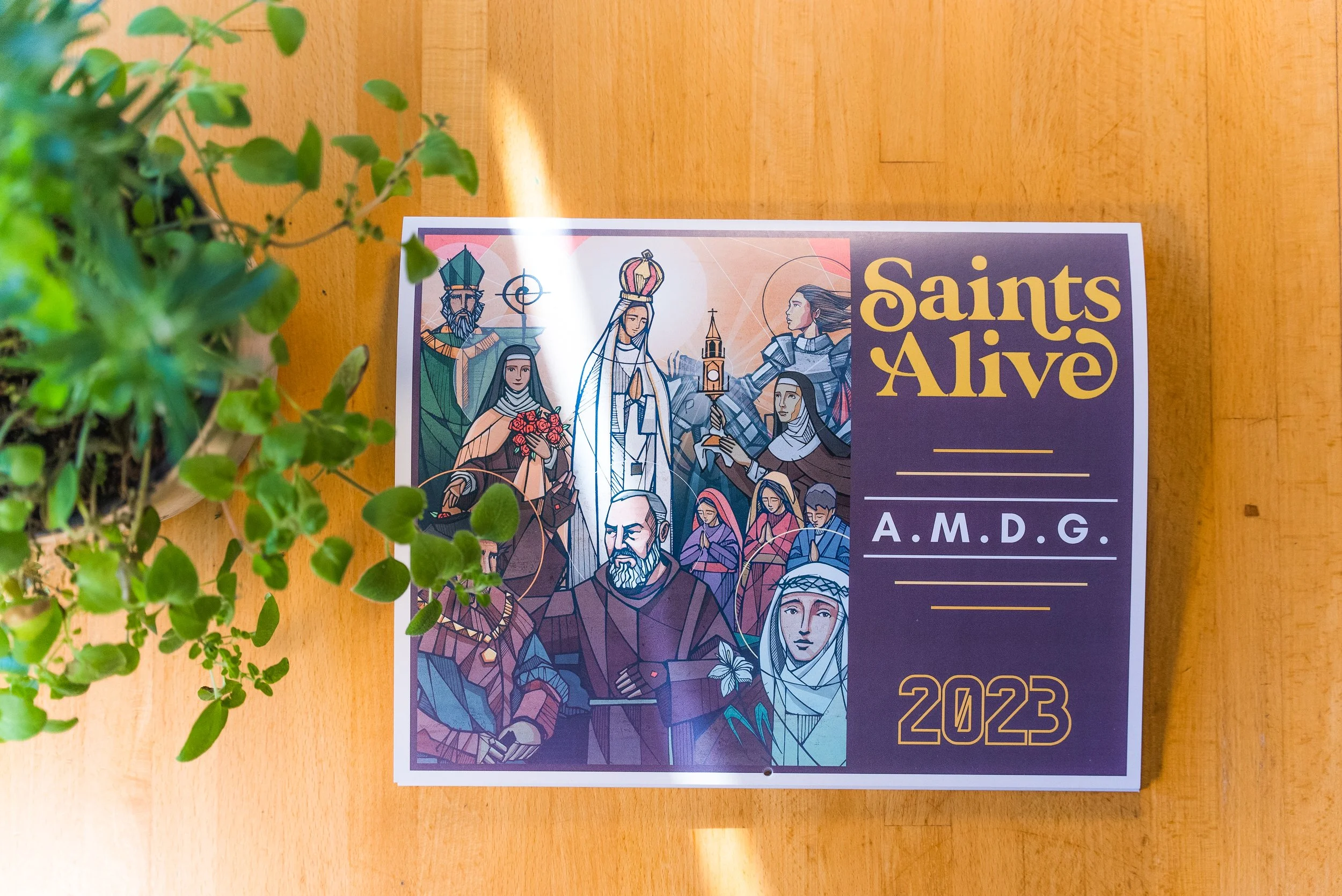 Saints Alive Store — Saints Alive