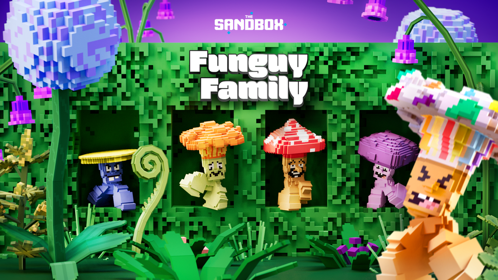 Funguy Games by Tuschay Studios