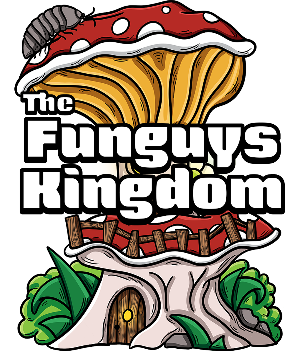 Funguy Games by Tuschay Studios