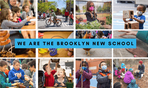 The Brooklyn New School | PS 146