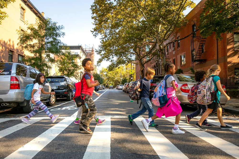 About Us — The Brooklyn New School | PS 146