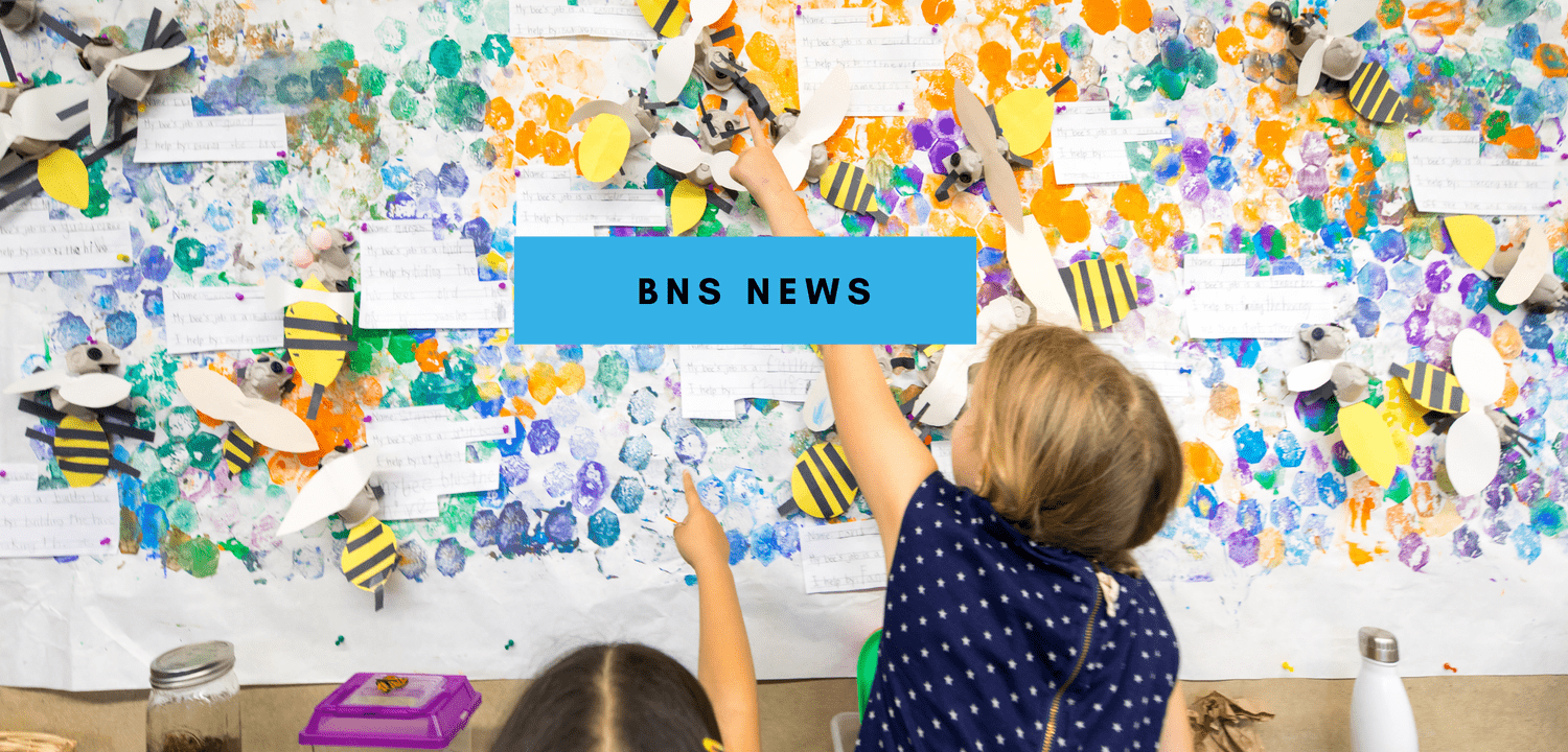 BNS News — The Brooklyn New School | PS 146