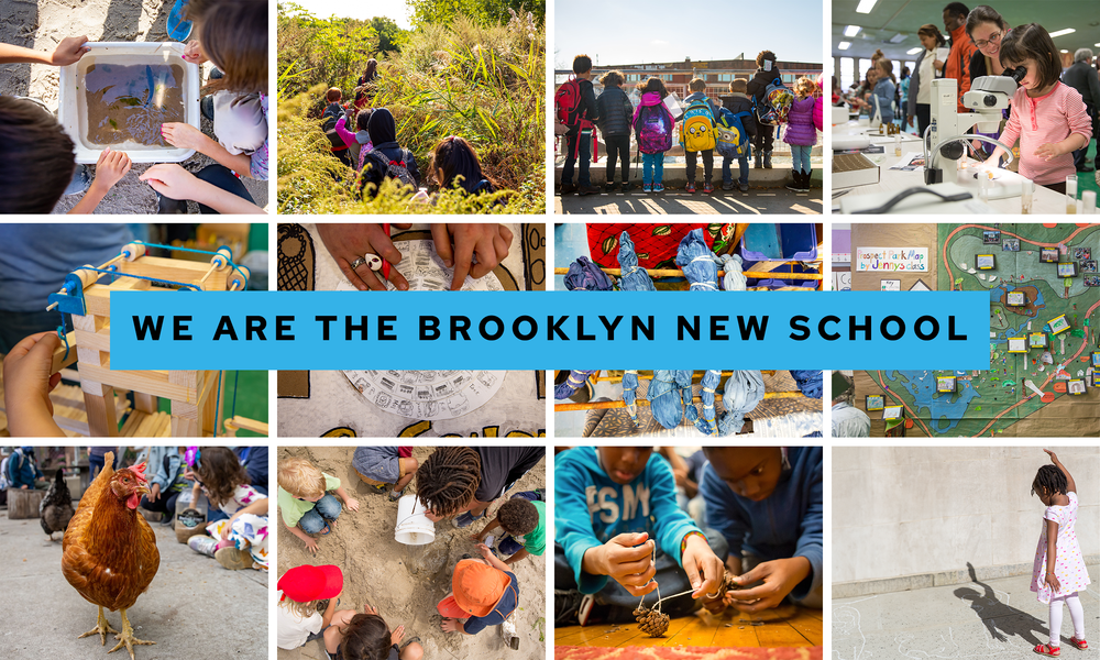 The Brooklyn New School | PS 146