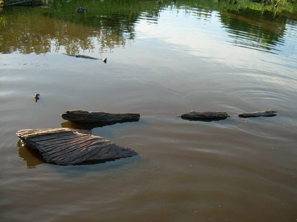 Projects — Janus Research