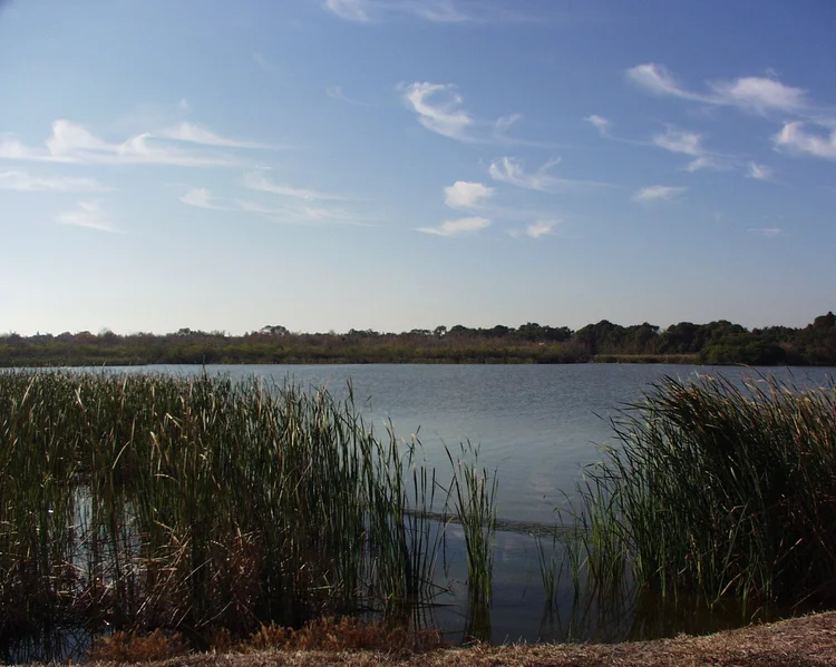 Team — Janus Research