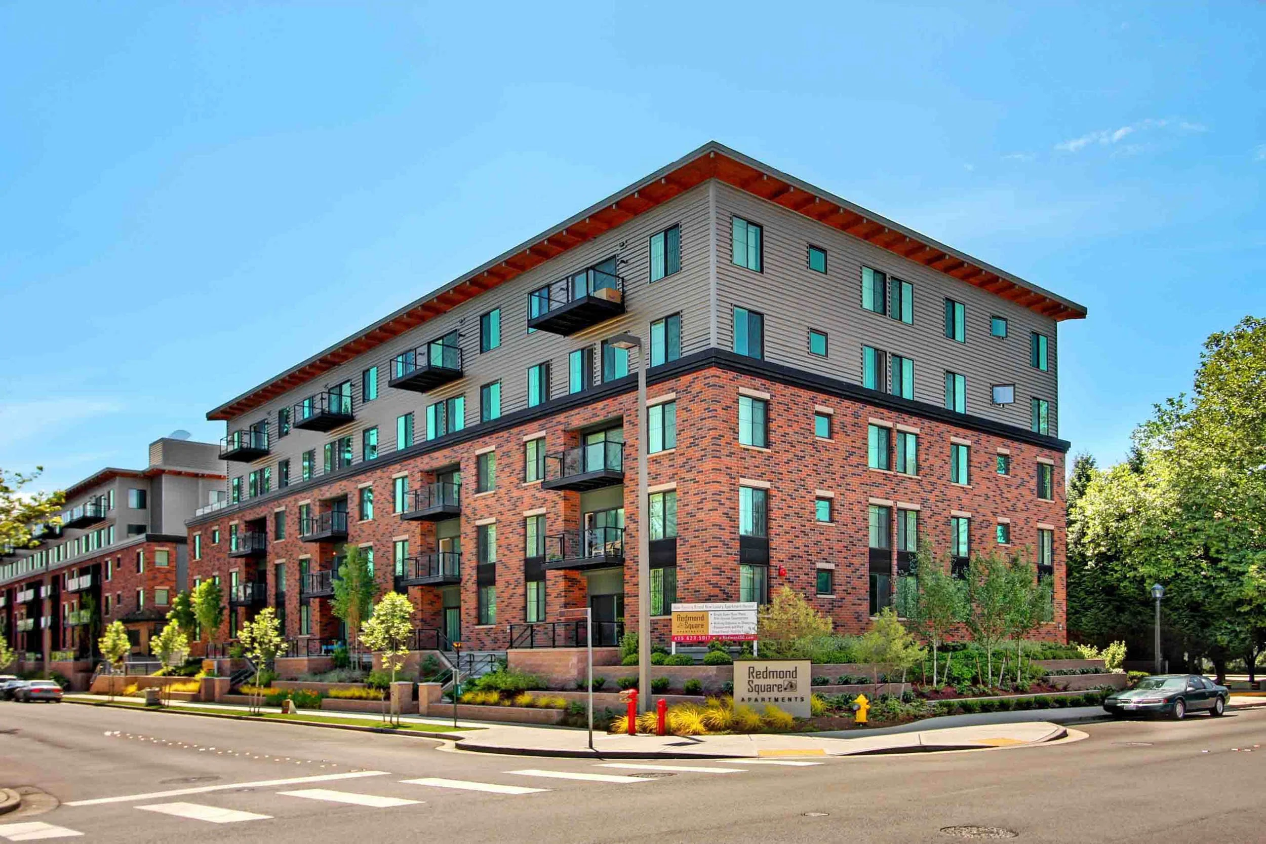 Gallery 1 — AP Experience